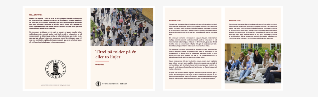 Maler – Profil- og webmanual for UiB